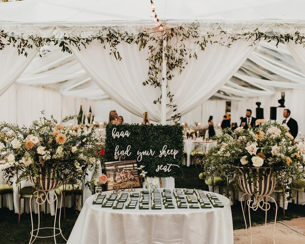 Bright Event Rentals - Draping
