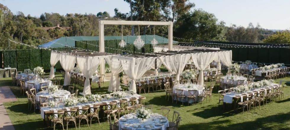 Artificial Hedge Rental | Bright Rentals