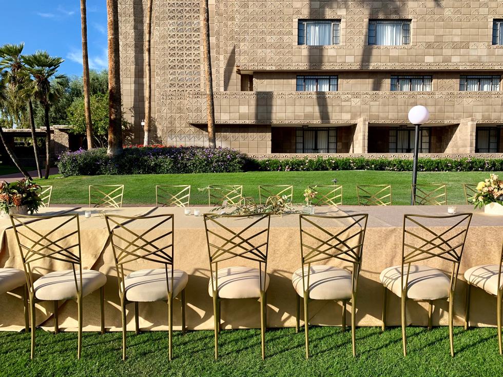 CHAMELEON GOLD FANFARE Rentals | Bright Rentals